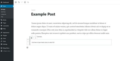 How To Embed PDFs in WordPress: Step by Step Guide