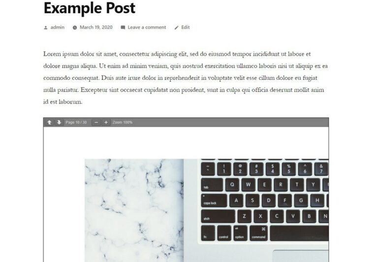 How To Embed PDFs in WordPress: Step by Step Guide