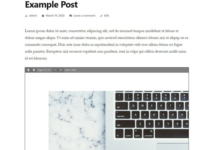 How To Embed PDFs in WordPress: Step by Step Guide
